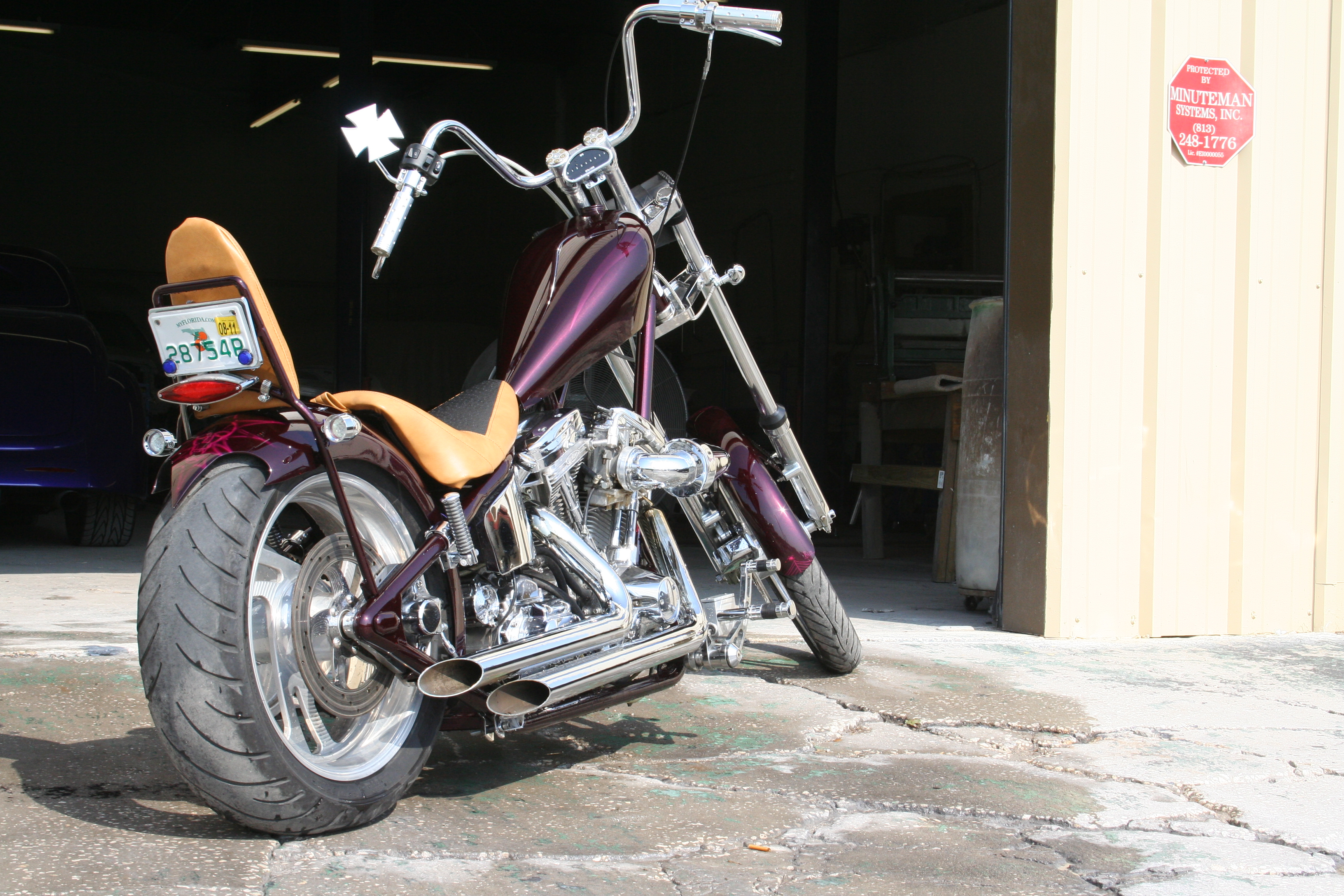 Harley, Motorcycles, custom painting, flames, tampa, fl,brandon